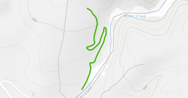 Agua Puerca Loop East Multi Trail - Santa Cruz, CA