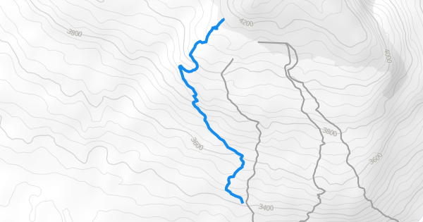 Pingo Mountain Biking Trail - Coyhaique | Trailforks