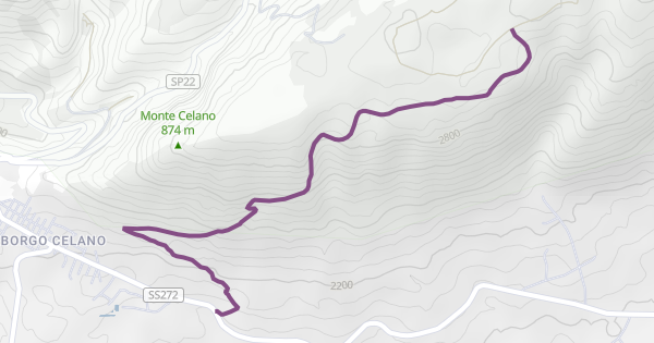 Due Conventi - Borgo Celano Multi Trail - | Trailforks