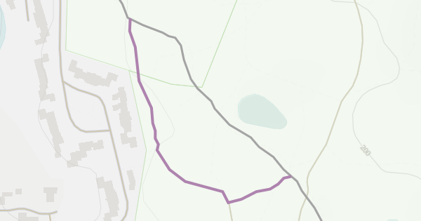 Storer Path Mountain Biking Trail - Waltham, MA