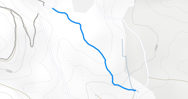 Little Canada Lower Mountain Biking Trail