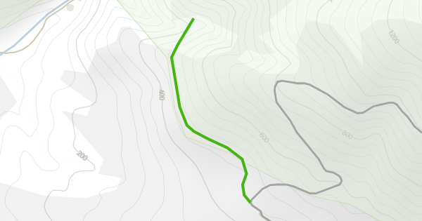 Willow Camp Dead End Trail Multi Trail - Mill Valley