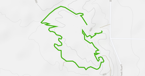Burt's Trail Mountain Biking Trail - Burt Lake Township