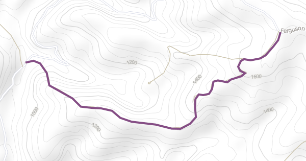 Wild Track Multi Trail - Warragul | Trailforks