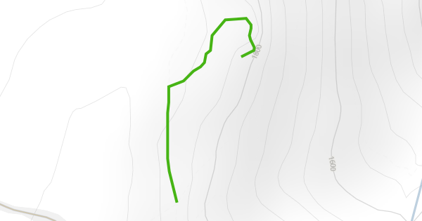Overlook Track Hiking Trail - Morgantown, West Virginia