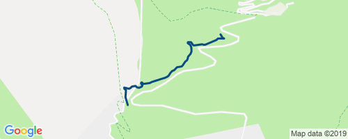 Thingymajig Mountain Biking Trail - Queenstown