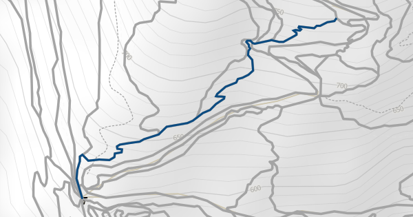 Thingymajig Mountain Biking Trail - Queenstown