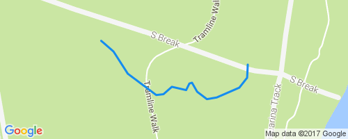 Lower Blair Witch Mountain Biking Trail - Lysterfield