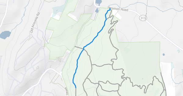 Fire Road #2/Blue Trail Multi Trail - Ansonia, CT