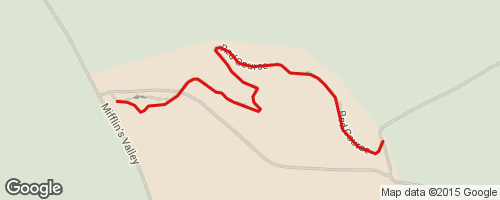 Red Course Mountain Biking Trail - Stile Cop, Rugeley