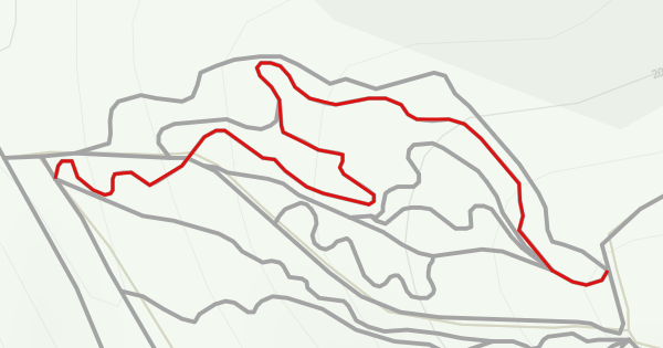 Red Course Mountain Biking Trail - Stile Cop, Rugeley