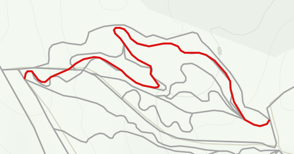 Red Course Mountain Biking Trail - Stile Cop, Rugeley