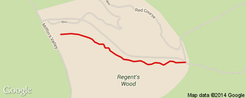 Ridge Run Mountain Biking Trail - Stile Cop, Rugeley
