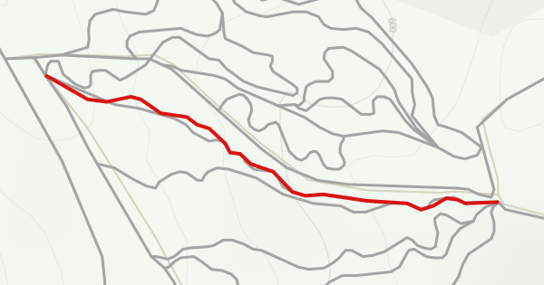 Ridge Run Mountain Biking Trail - Stile Cop, Rugeley