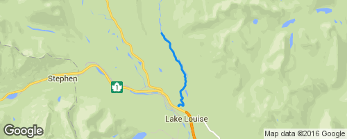 Pipestone Trail Mountain Biking Trail - Lake Louise, AB