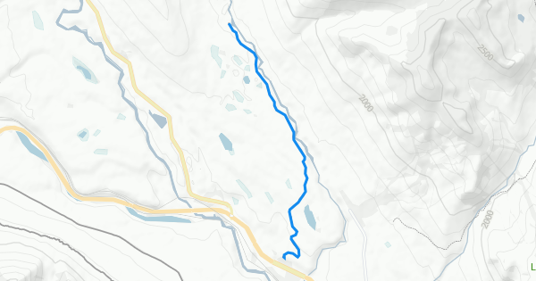 Pipestone Trail Mountain Biking Trail - Lake Louise