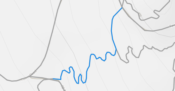Straw Mountain Biking Trail - Bellingham, Washington