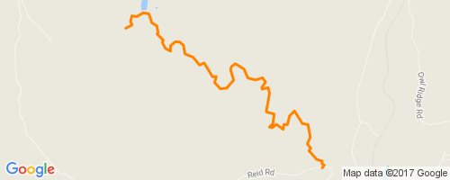 Jack the Ripper Mountain Biking Trail - Pemberton, BC