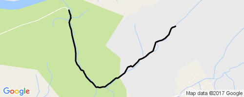 Laurel Run Mountain Biking Trail - Kingsport, Tennessee