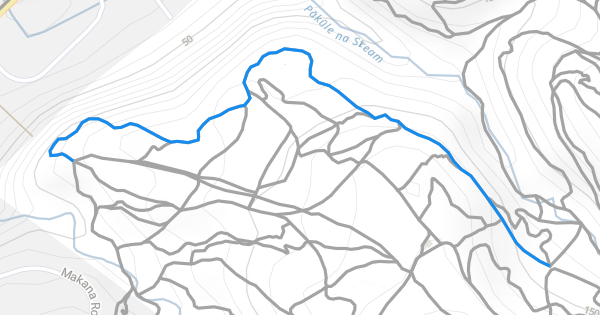 Forest Mountain Biking Trail - Pupukea, Hawaii