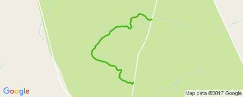 Berm Track Mountain Biking Trail - Hervey Bay