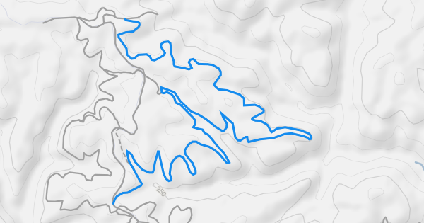 Bad Branch Loop - East Mountain Biking Trail - Mountain View