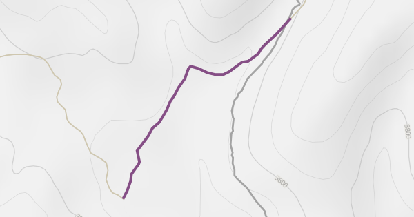 Arizona Trail Hiking Trail - Sunflower, AZ | Trailforks