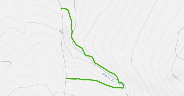 Slade Brook Trail Hiking Trail - Hanover, New Hampshire