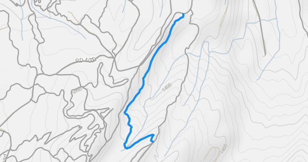 Larry's Pizza Mountain Biking Trail - Bellingham, WA