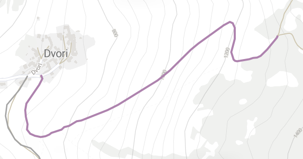 Dvori steep forest road Multi Trail - Kubed, Koper