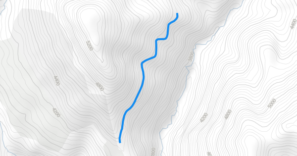 Prefontaine Hiking Trail - | Trailforks