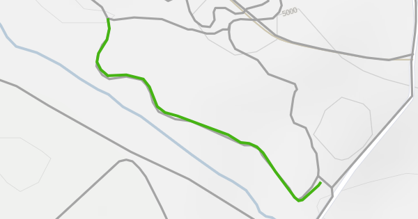 Green Singletrack Main Loop 3 Mountain Biking Trail - Pretoria East