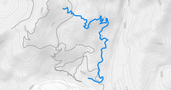 Oso Peligroso Mountain Biking Trail - Twisp, Washington