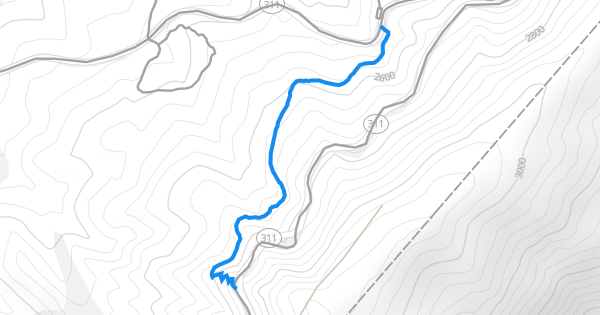 Peters Mountain Trail Multi Trail - Sweet Springs, WV