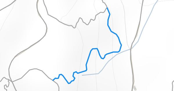 Ewok Trail Multi Trail - Port Gamble, Washington