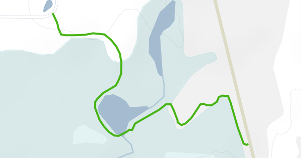 Crawford Creek Regional Park Wetlands Trail Mountain Biking Trail ...