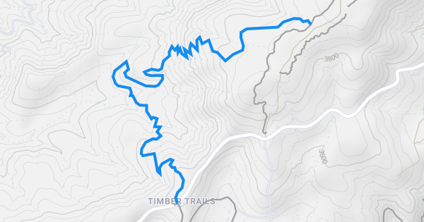 ART-Cowboy Loop Multi Trail - Arnold, California