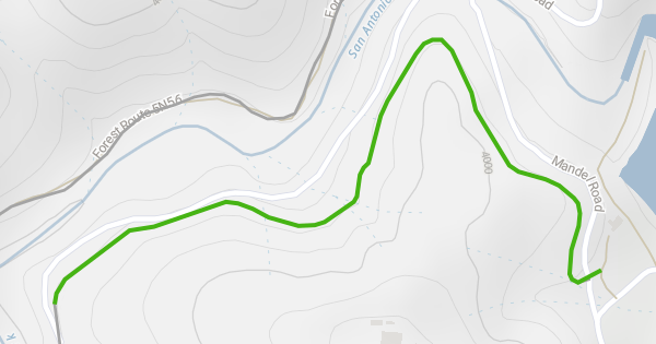 Arnold Rim ADA Multi Trail - Arnold, California