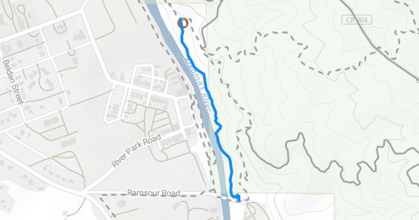 Unmarked Rugged Trail Hiking Trail - Buena Vista, CO