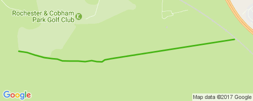 Cobham Woods and Mausoleum Mountain Biking Trail