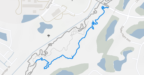 Bee Line Mountain Biking Trail - North Port, Florida