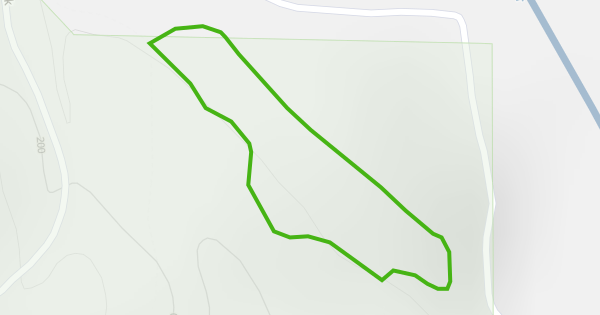 Little Hendy Loop Hiking Trail - Philo, California