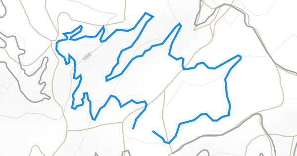 Hammerhead loop Mountain Biking Trail - Bendigo