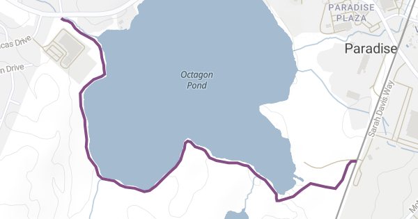 Octagon Pond Walk Mountain Biking Trail - - Newfoundland