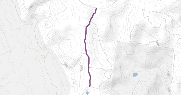 Allans Track Multi Trail - Wangaratta | Trailforks