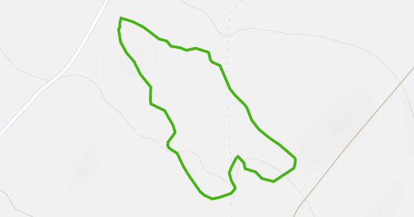 Spring Wildflower Loop Hiking Trail - Gorman, California