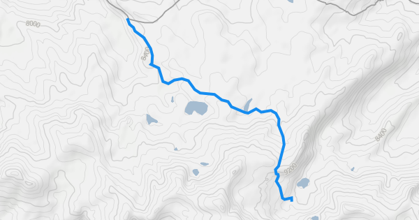 Spanish Lake Loop Hiking Trail - Wilsonia, California