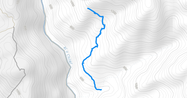 Travesía Por El Bosque Multi Trail - Nerja | Trailforks