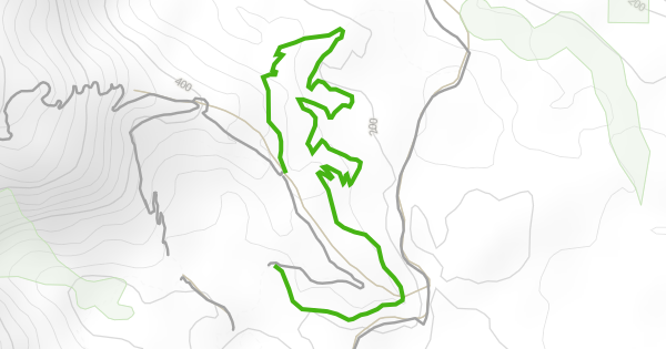 Awaba Loop North Mountain Biking Trail - Morisset