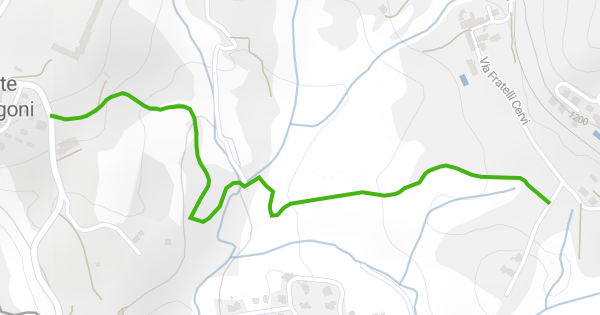 Calcinate - Casbeno Multi Trail - | Trailforks